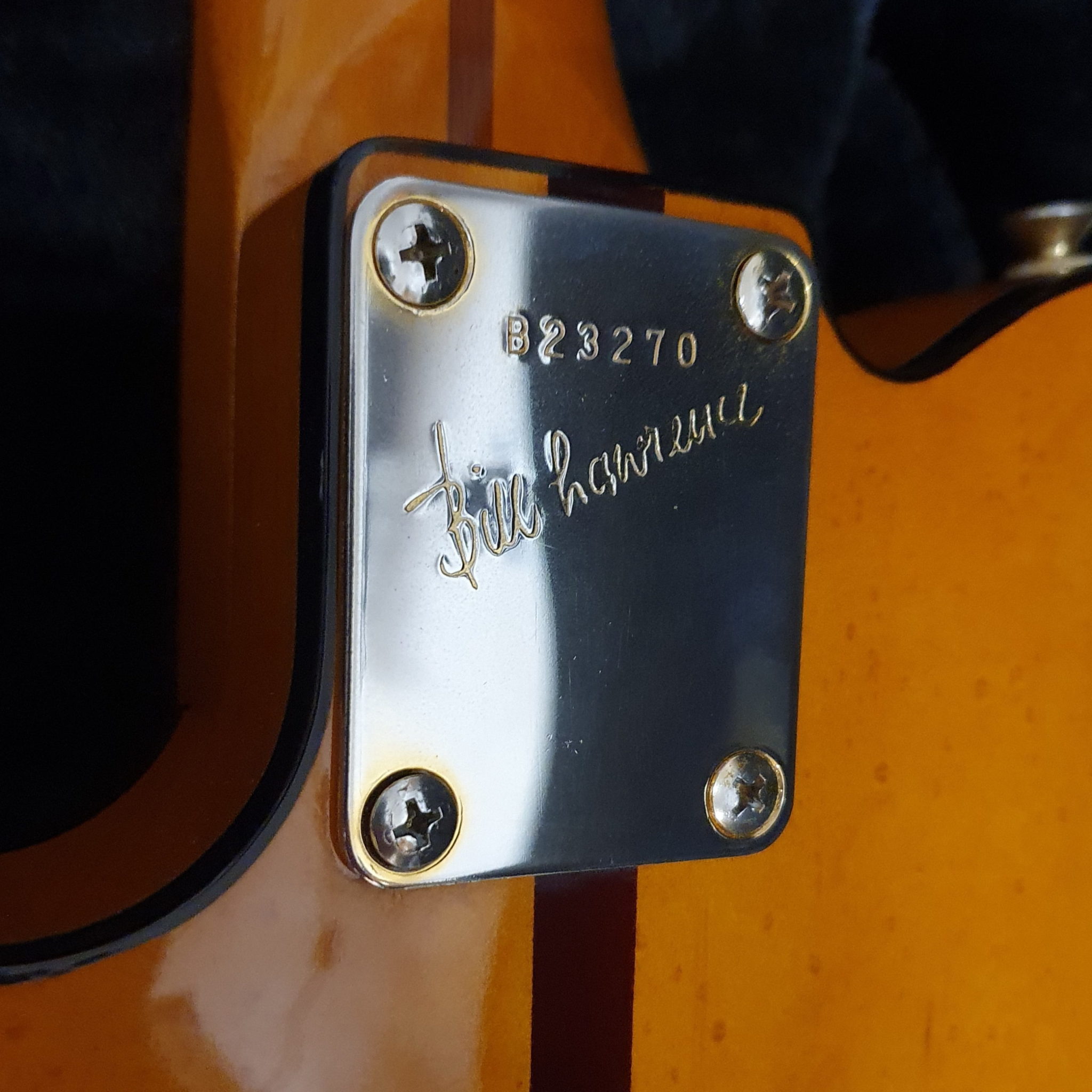 Bill Lawrence BT2 Mad Cat - Luis Guitar Garage