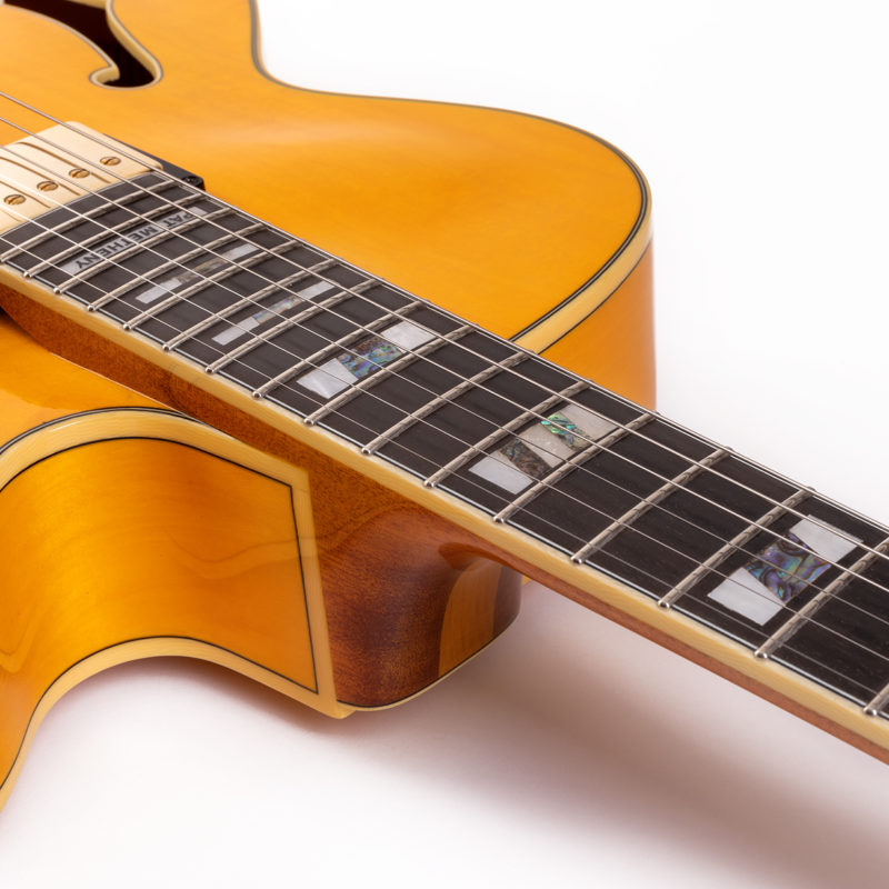 Ibanez PM2-AA - Luis Guitar Garage